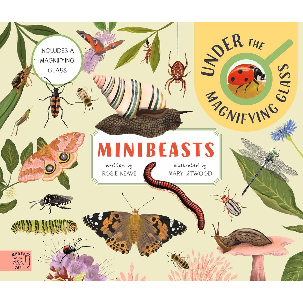 Minibeasts Under The Magnifying Glass – My Small World Toy Store