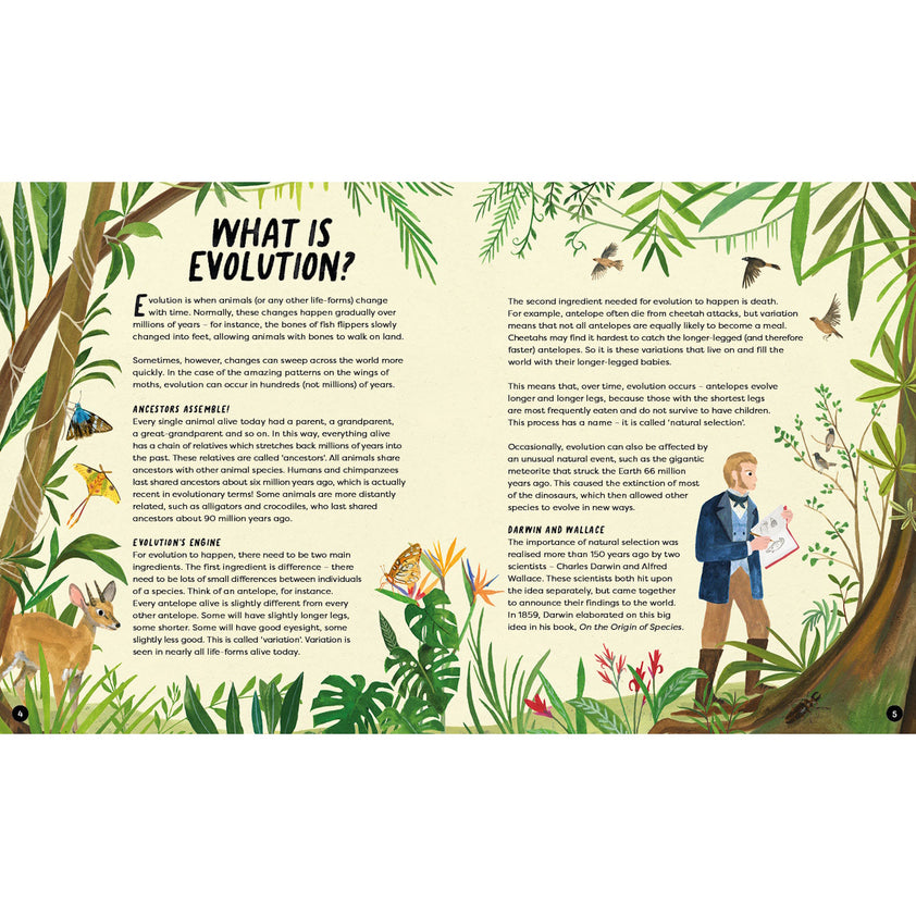 Choose Your Own Evolution: Go Extinct Or Survive – My Small World Toy Store