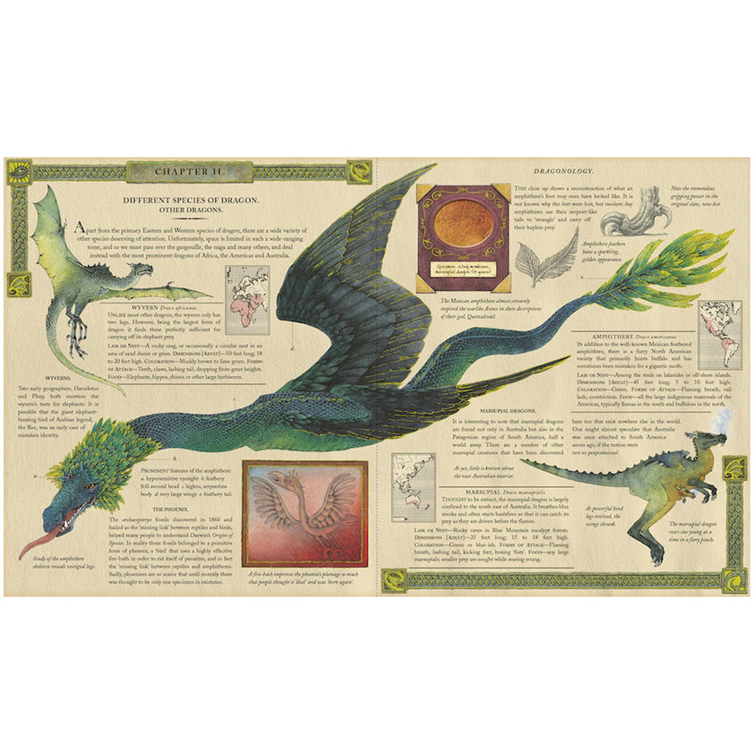 Dragonology: The Complete Book Of Dragons – My Small World Toy Store