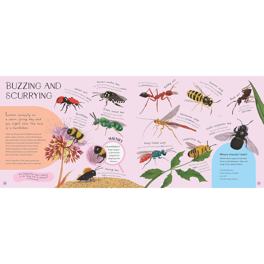 Minibeasts Under The Magnifying Glass – My Small World Toy Store