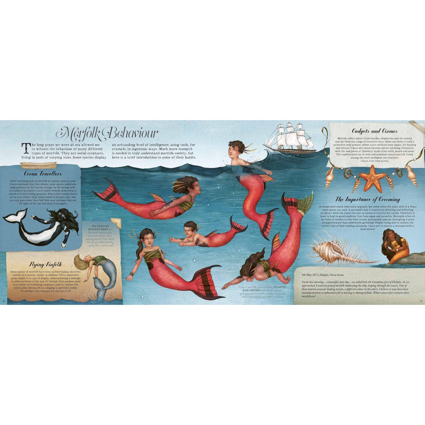 Natural History of Mermaids – My Small World Toy Store
