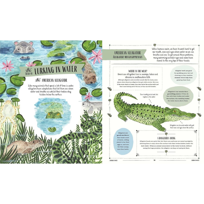 Wild: A Childs Guide To The Animal Kingdom – My Small World Toy Store